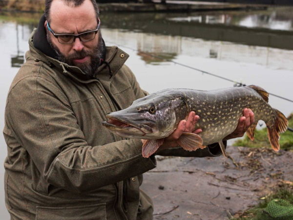 Tudor Caravan Park, Slimbridge